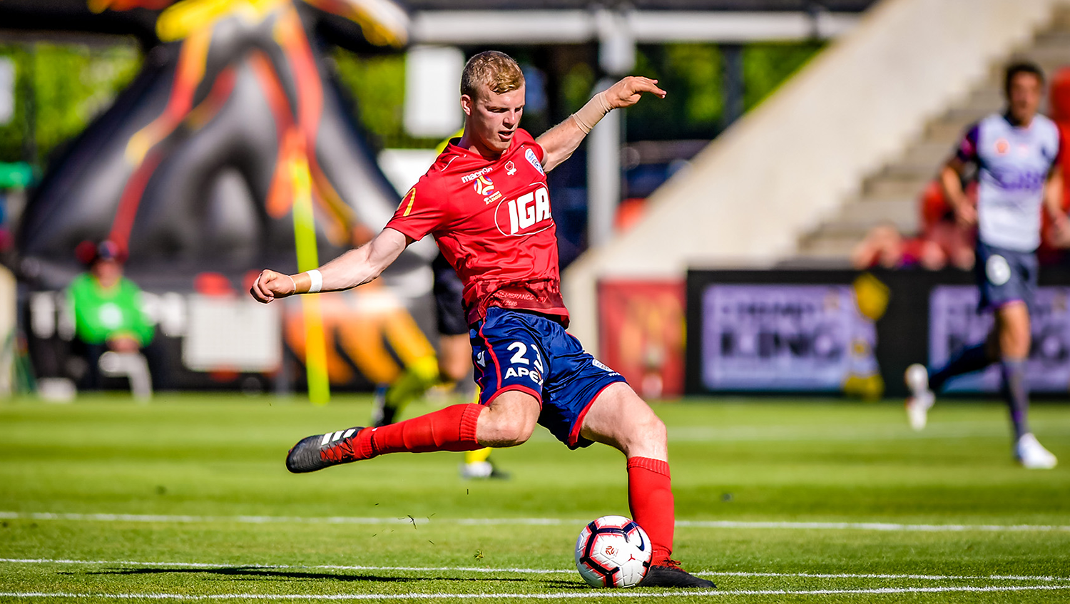 Elsey: It was a disappointing result - Adelaide United