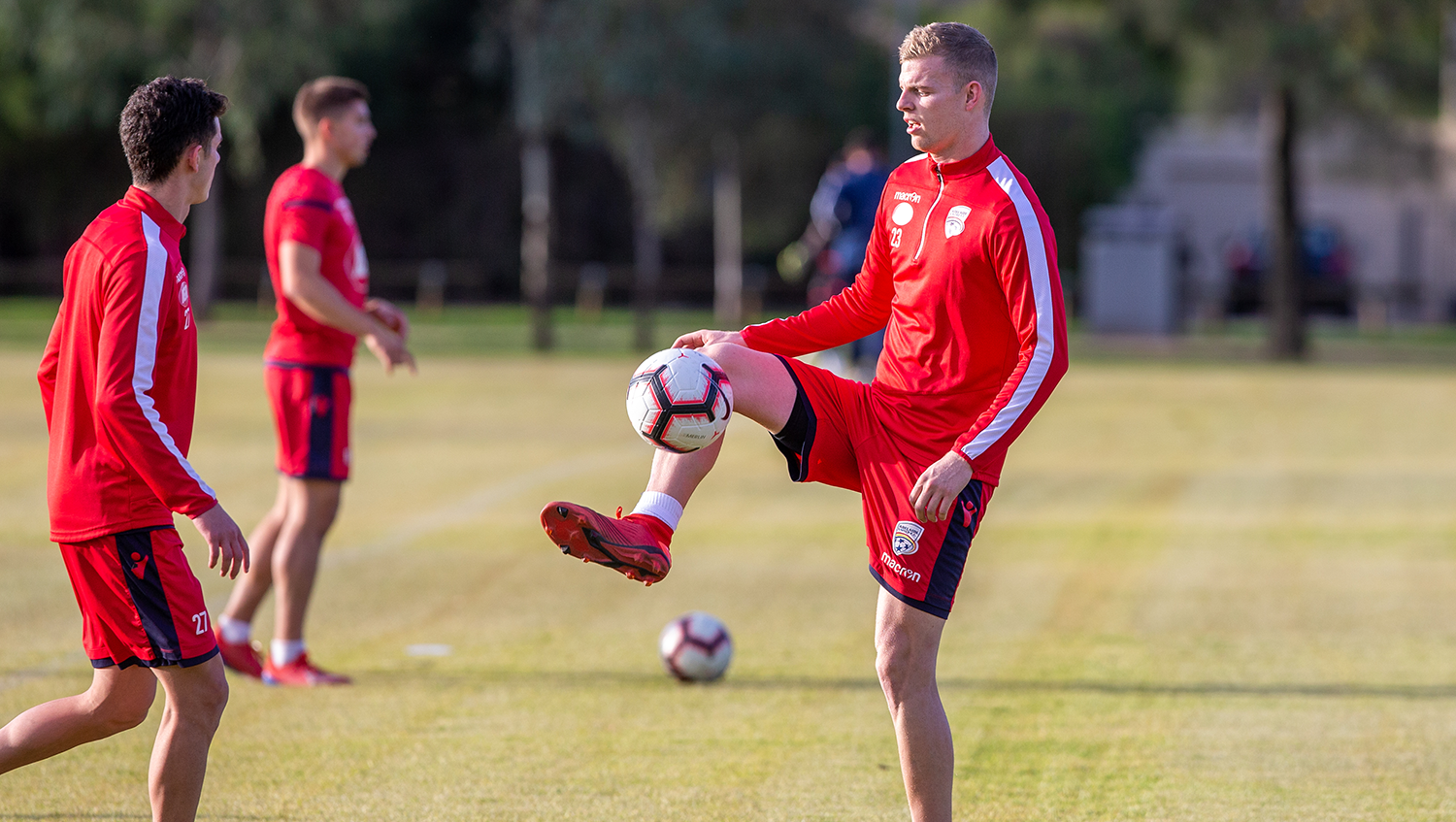 Reds progressing well under Veart says Elsey - Adelaide United
