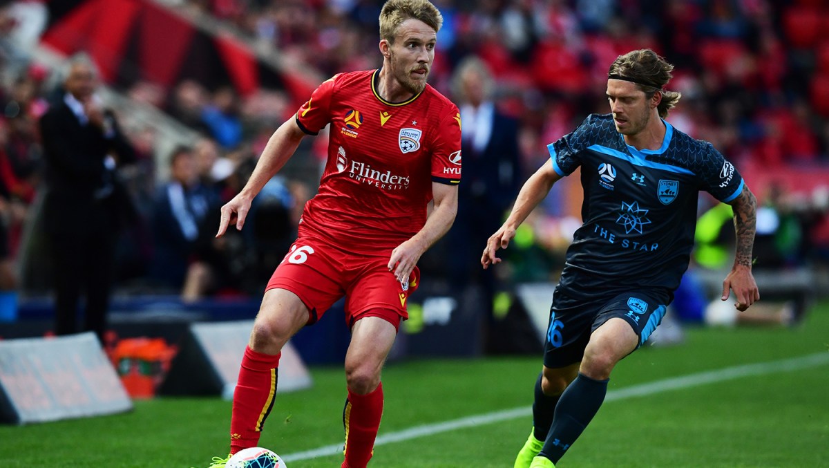 Halloran: Plenty of positives, impressed with debutants - Adelaide United