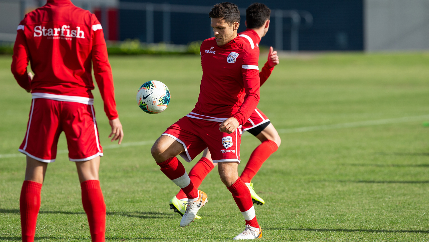 Mirko Boland injury update - Adelaide United