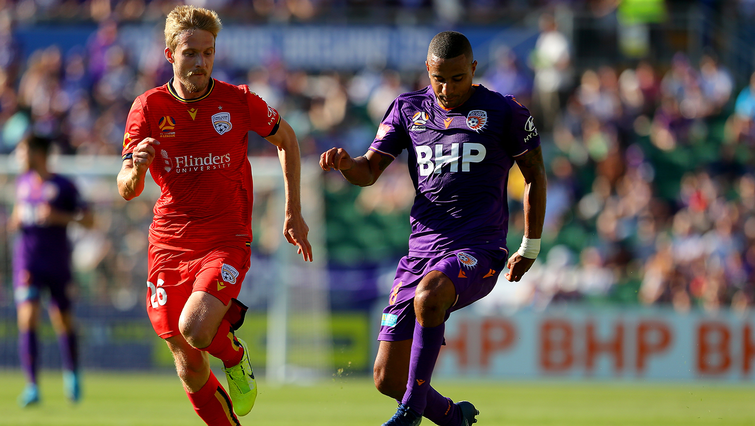 Halloran urges Reds to improve - Adelaide United