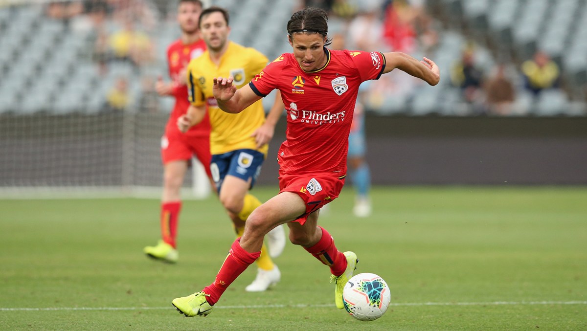 Marrone inks one-year extension with Reds - Adelaide United