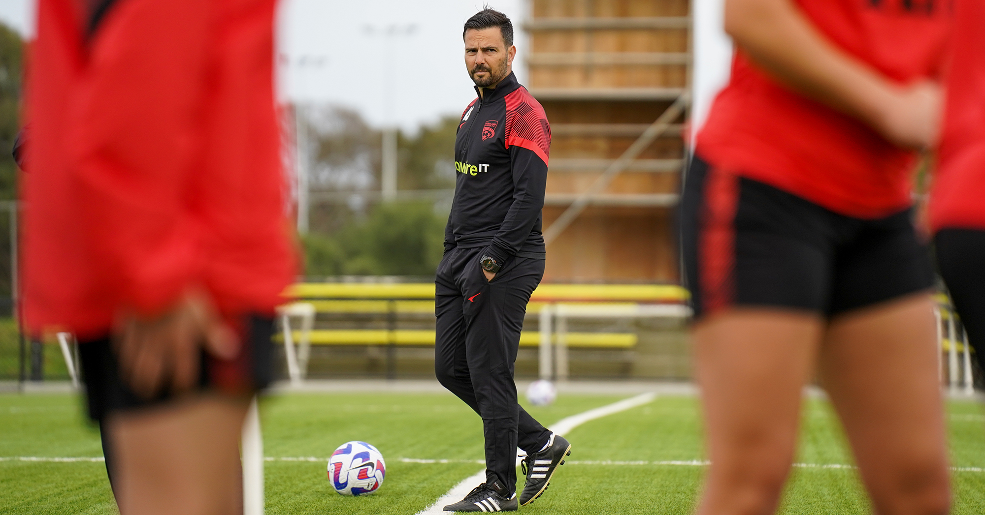 Stenta: Foundations laid for further improvement - Adelaide United