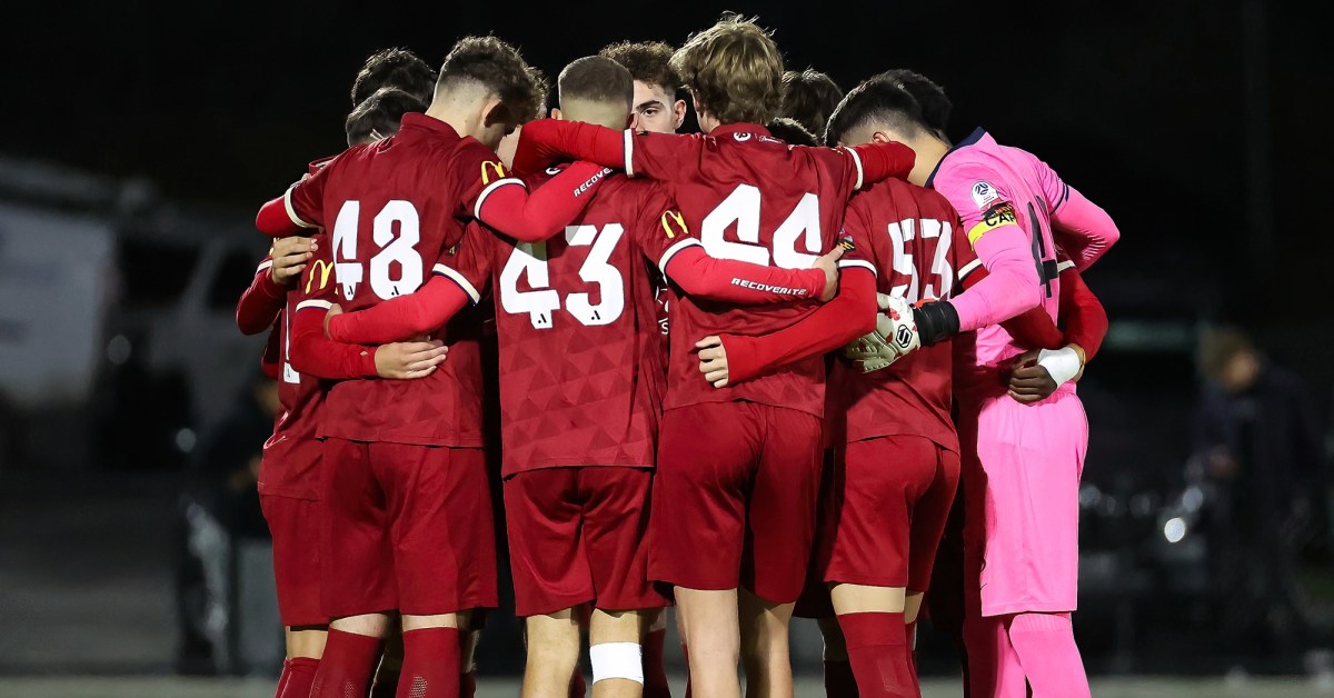 Andrioli reassured despite City loss - Adelaide United