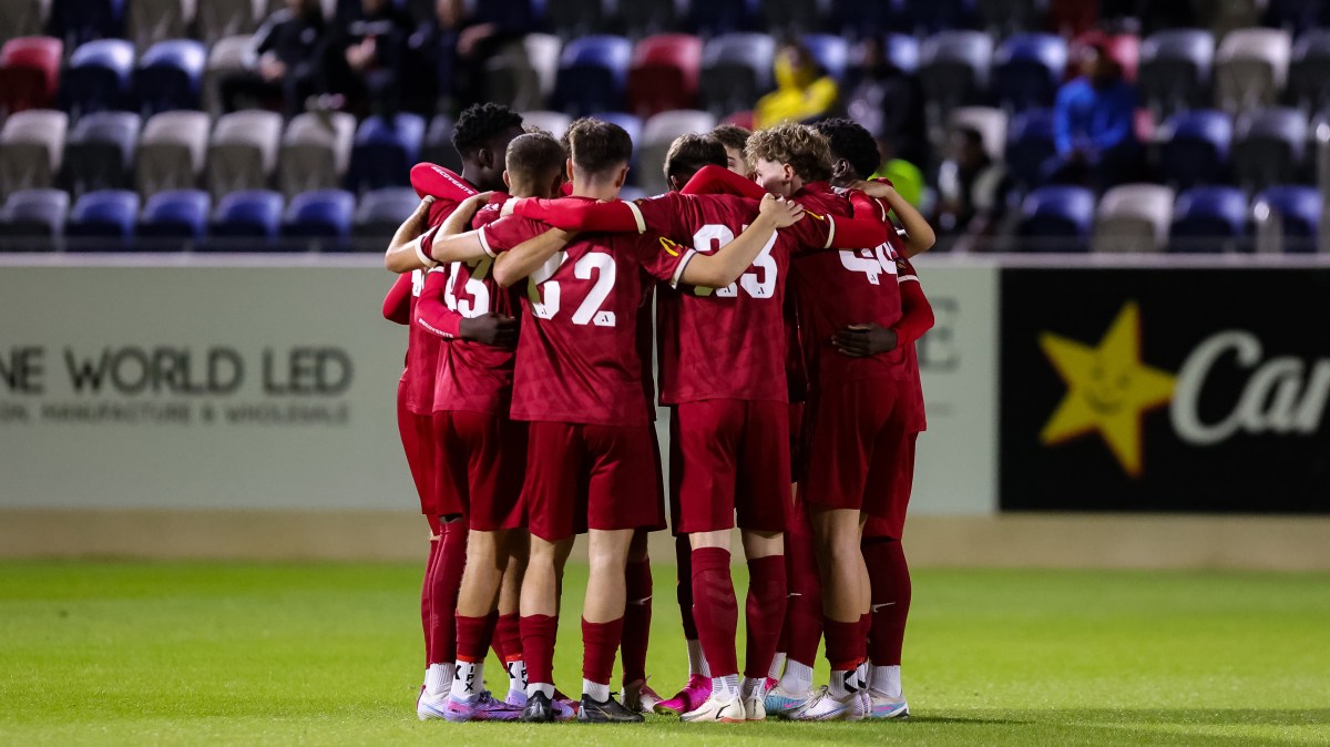 Cup lift and our internationals can boost us: Andrioli - Adelaide United