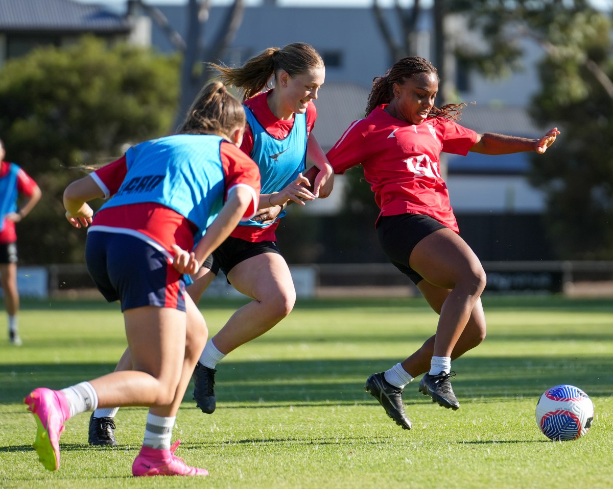 Stenta selects squad for season opener - Adelaide United